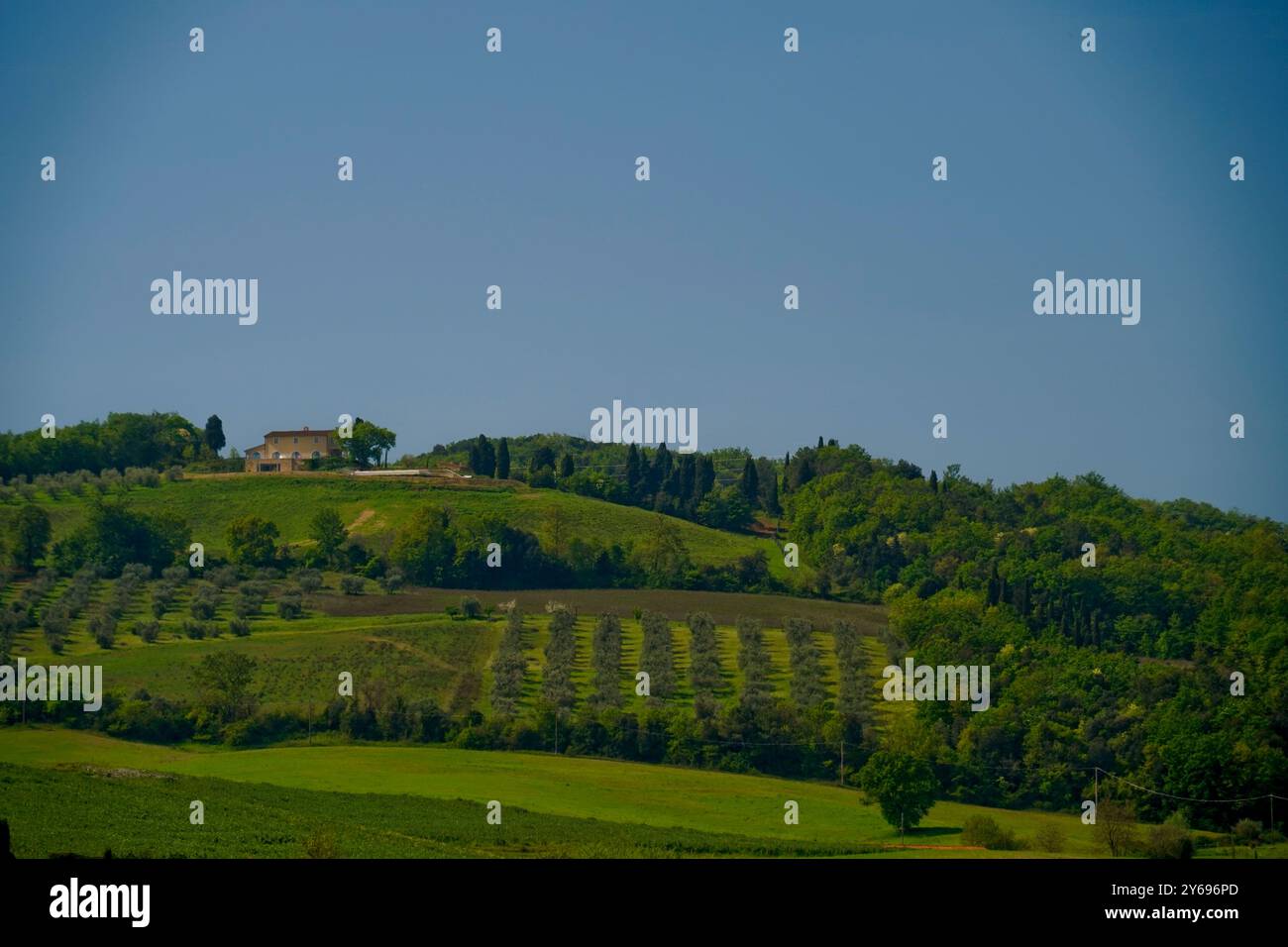 Panorama of the hills of Lajatico, birthplace of Andrea Bocelli ...