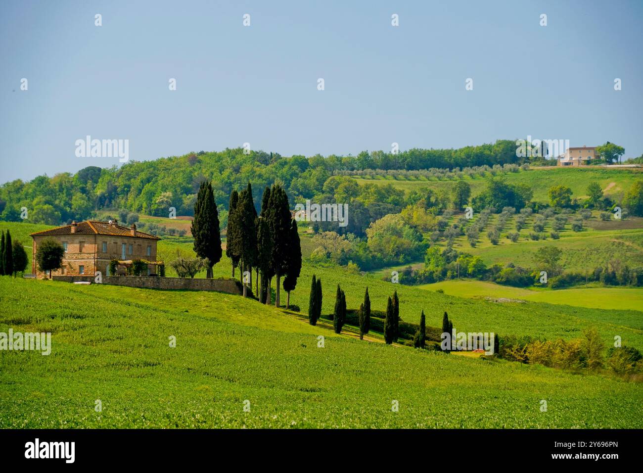 Panorama of the hills of Lajatico, birthplace of Andrea Bocelli ...