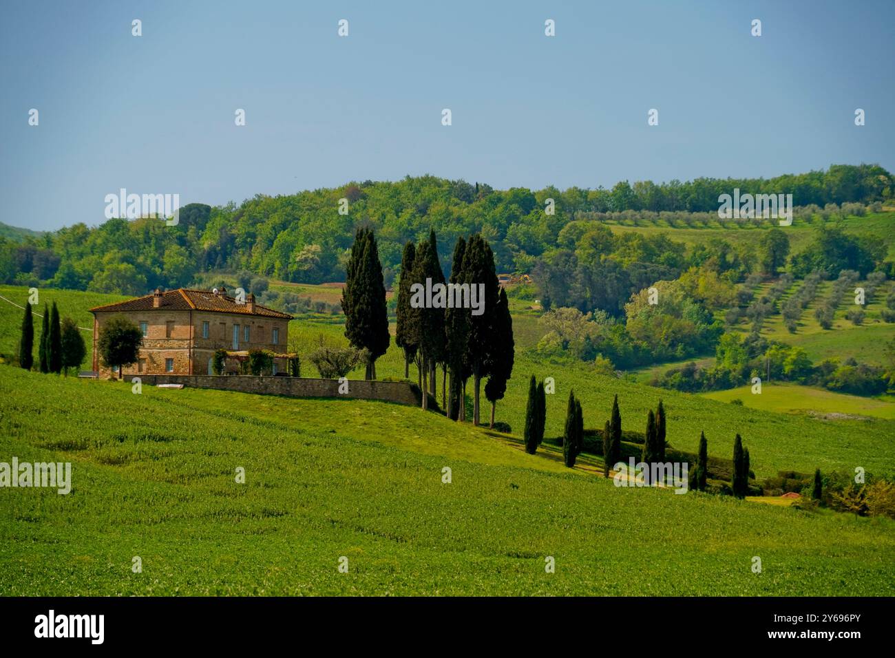 Panorama of the hills of Lajatico, birthplace of Andrea Bocelli ...