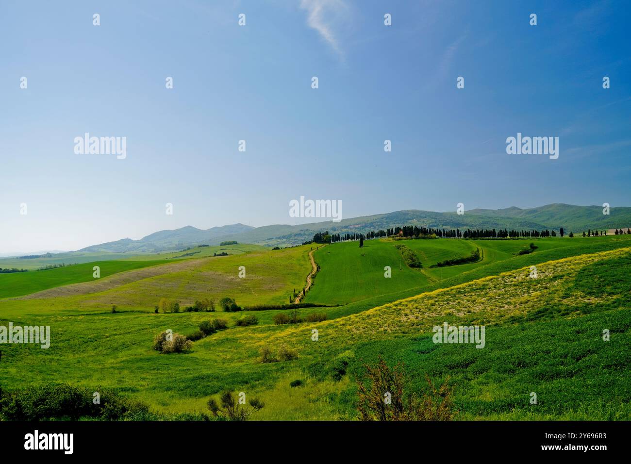 Panorama of the hills of Lajatico, birthplace of Andrea Bocelli ...