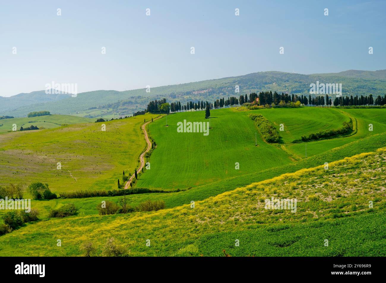Panorama of the hills of Lajatico, birthplace of Andrea Bocelli ...