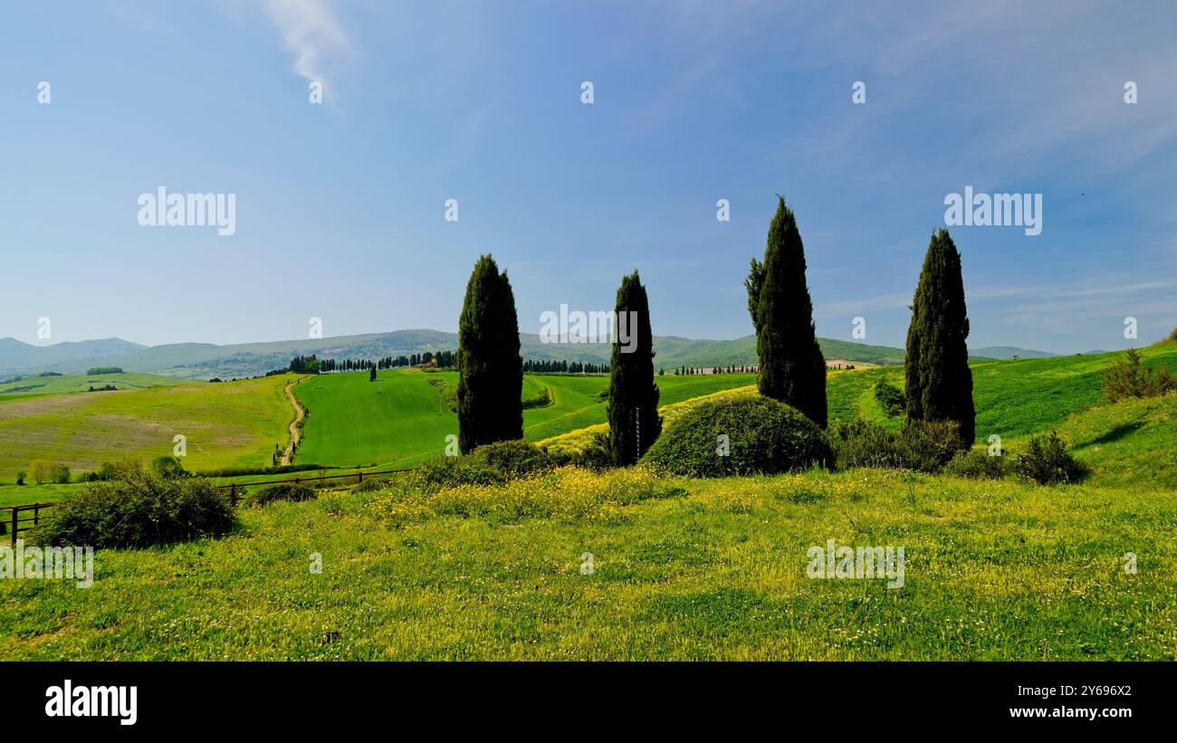 Panorama of the hills of Lajatico, birthplace of Andrea Bocelli ...
