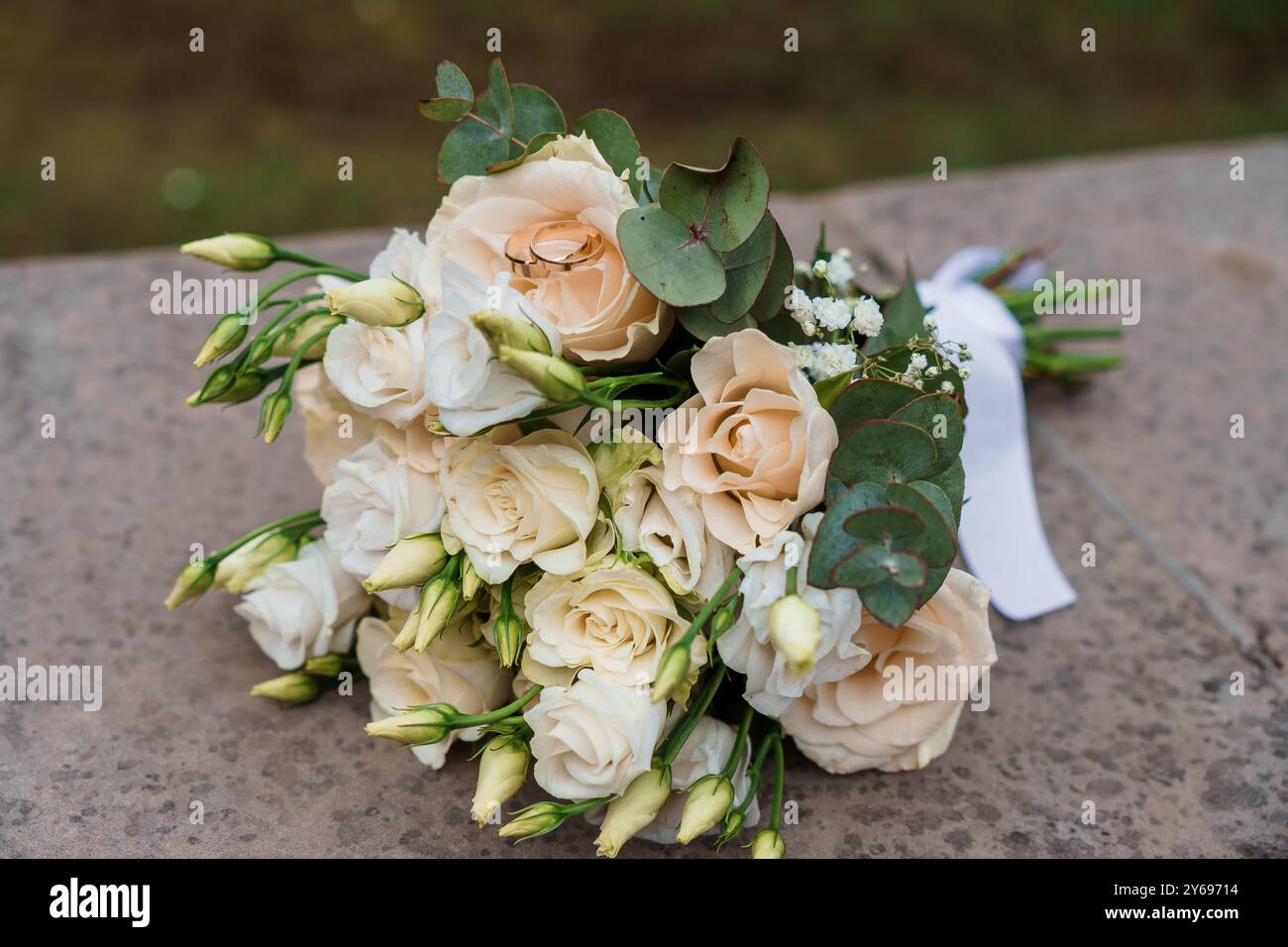 Elegant Cream Rose Bouquet with Eucalyptus and White Accents on a Soft ...