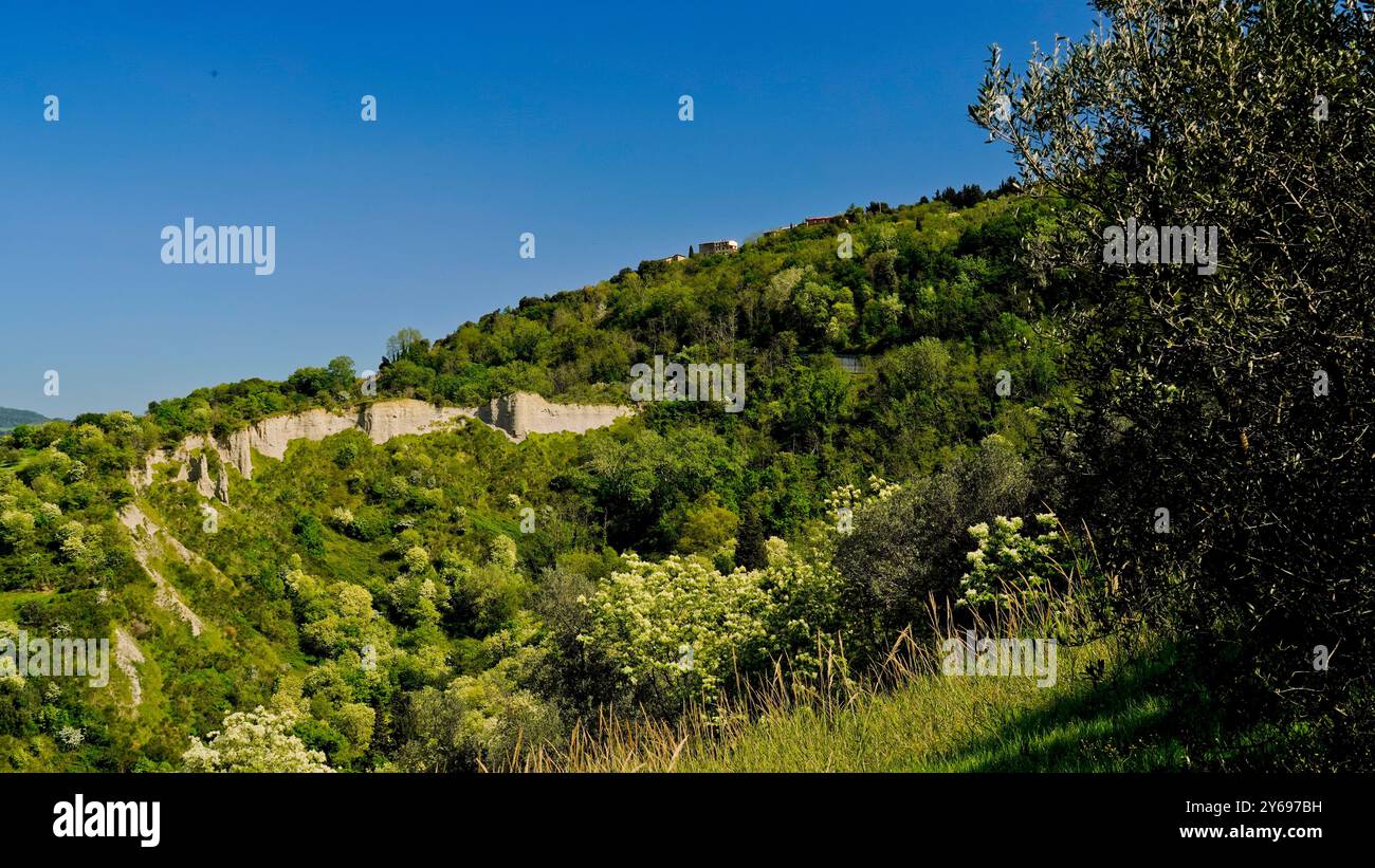 Panorama of the hills of Lajatico, birthplace of Andrea Bocelli ...