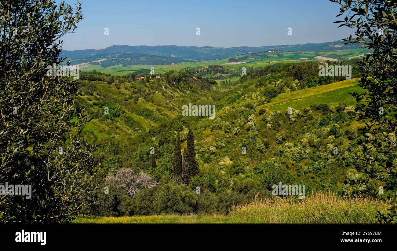Panorama of the hills of Lajatico, birthplace of Andrea Bocelli ...