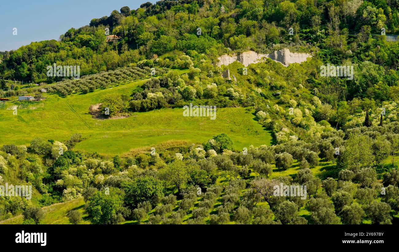Panorama of the hills of Lajatico, birthplace of Andrea Bocelli ...