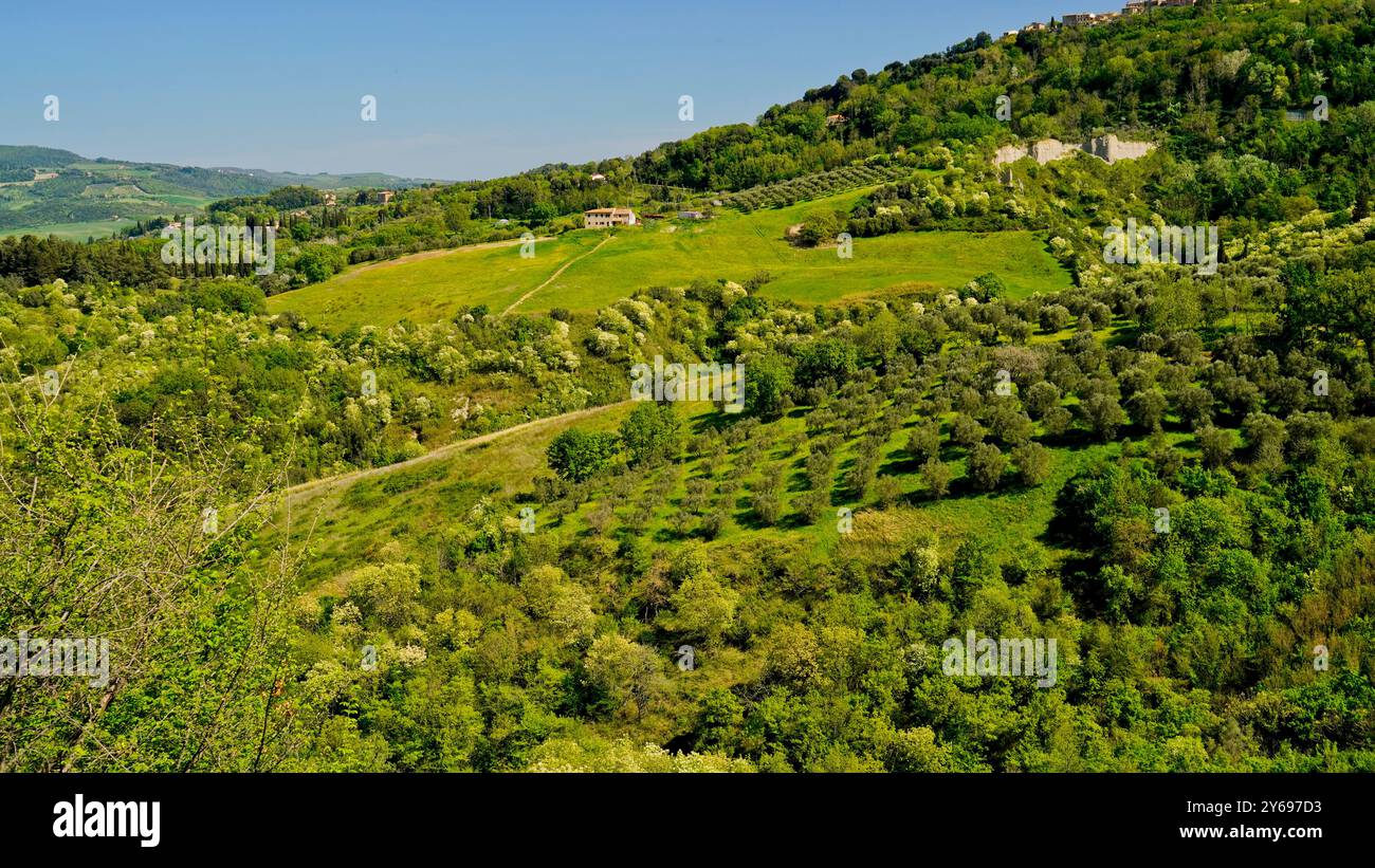Panorama of the hills of Lajatico, birthplace of Andrea Bocelli ...