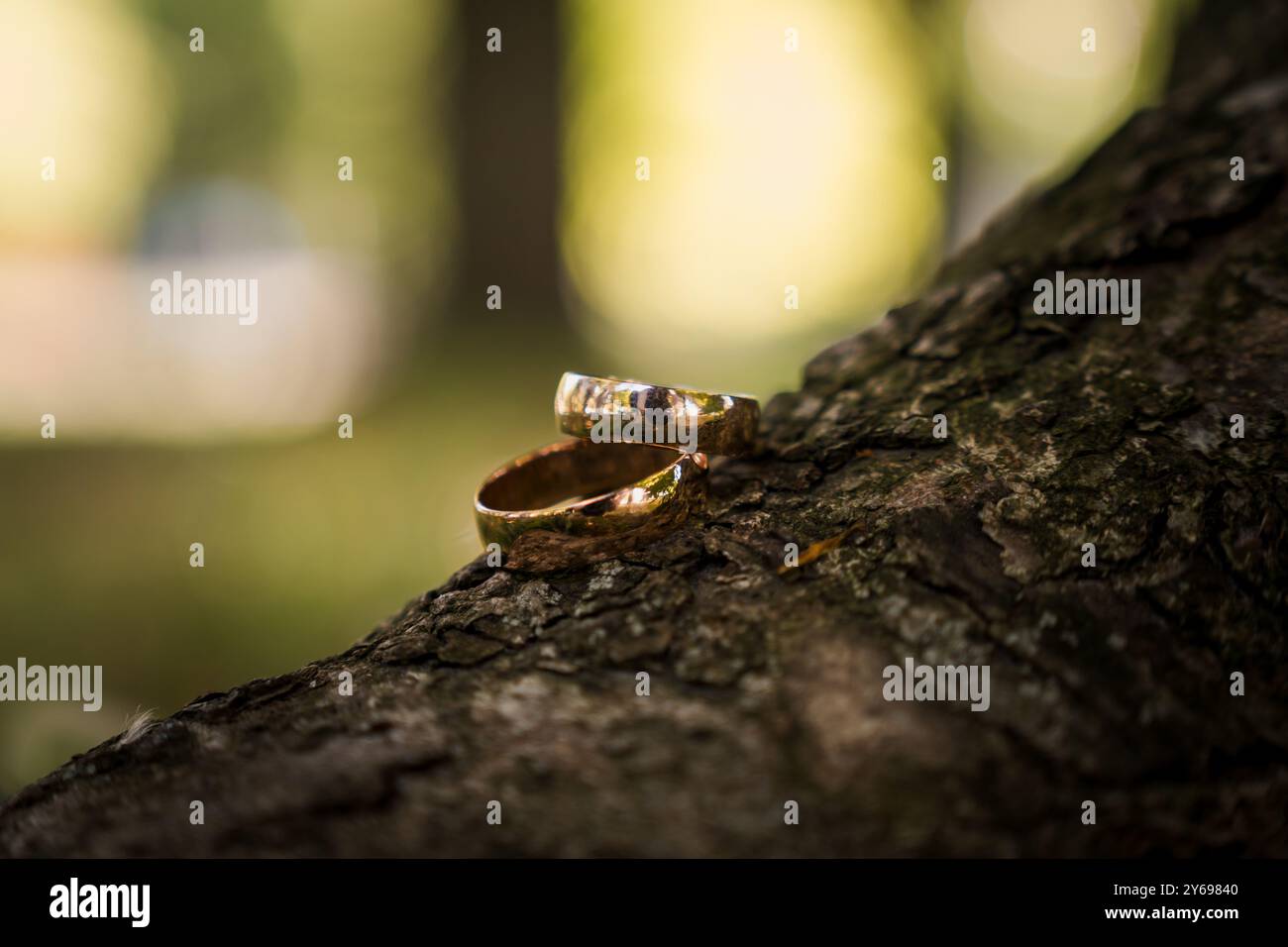 Elegant Wedding Rings Resting on a Natural Tree Bark Background with Soft Bokeh Effects Stock ...