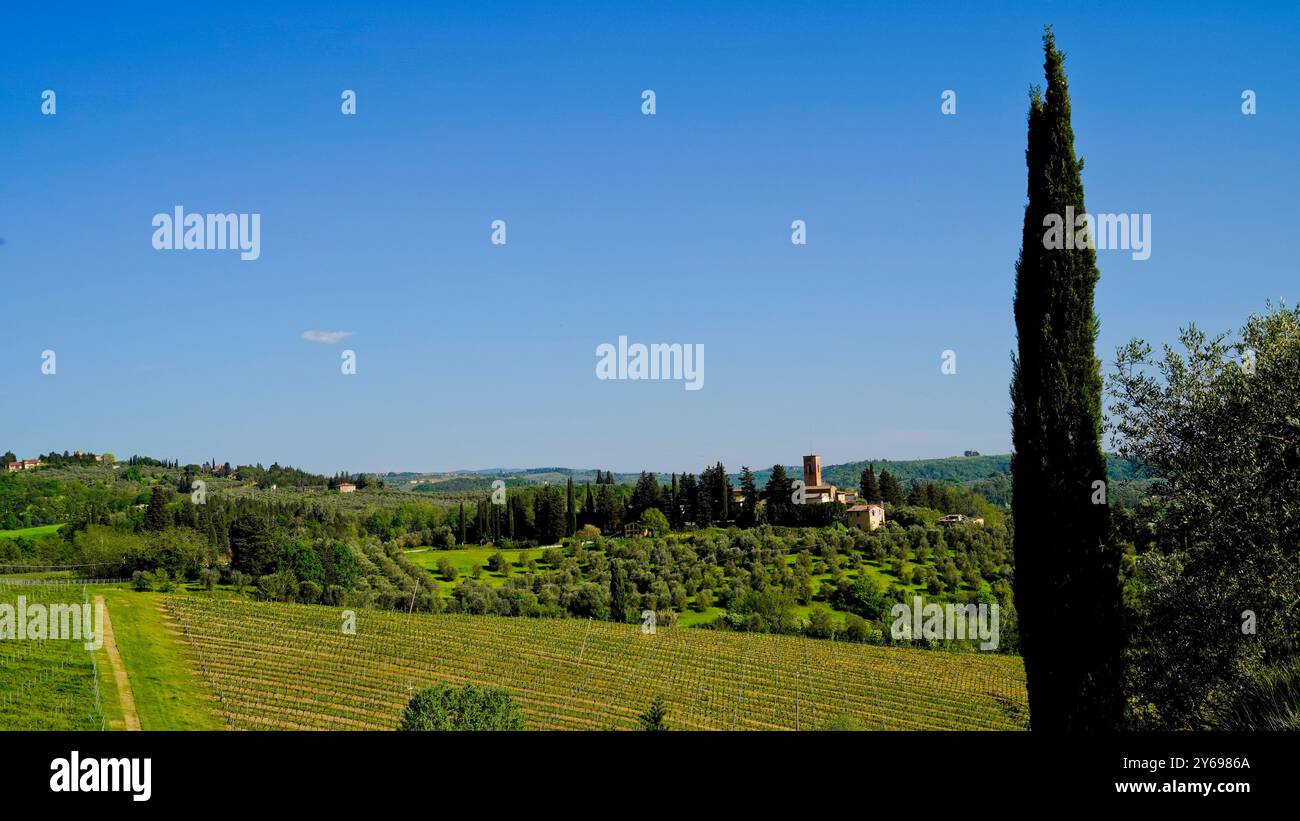 Panorama of the hills of Lajatico, birthplace of Andrea Bocelli ...
