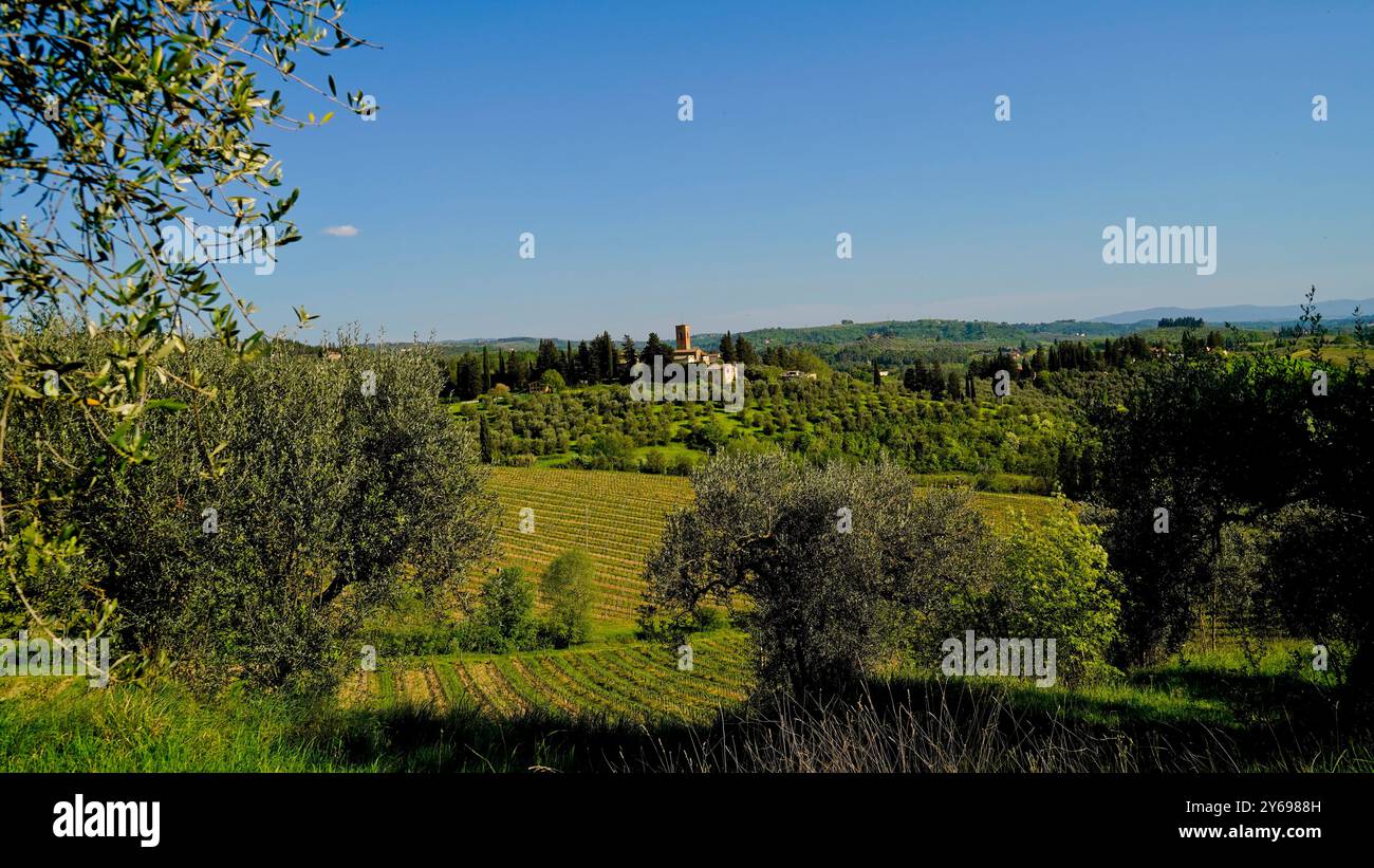 Panorama of the hills of Lajatico, birthplace of Andrea Bocelli ...