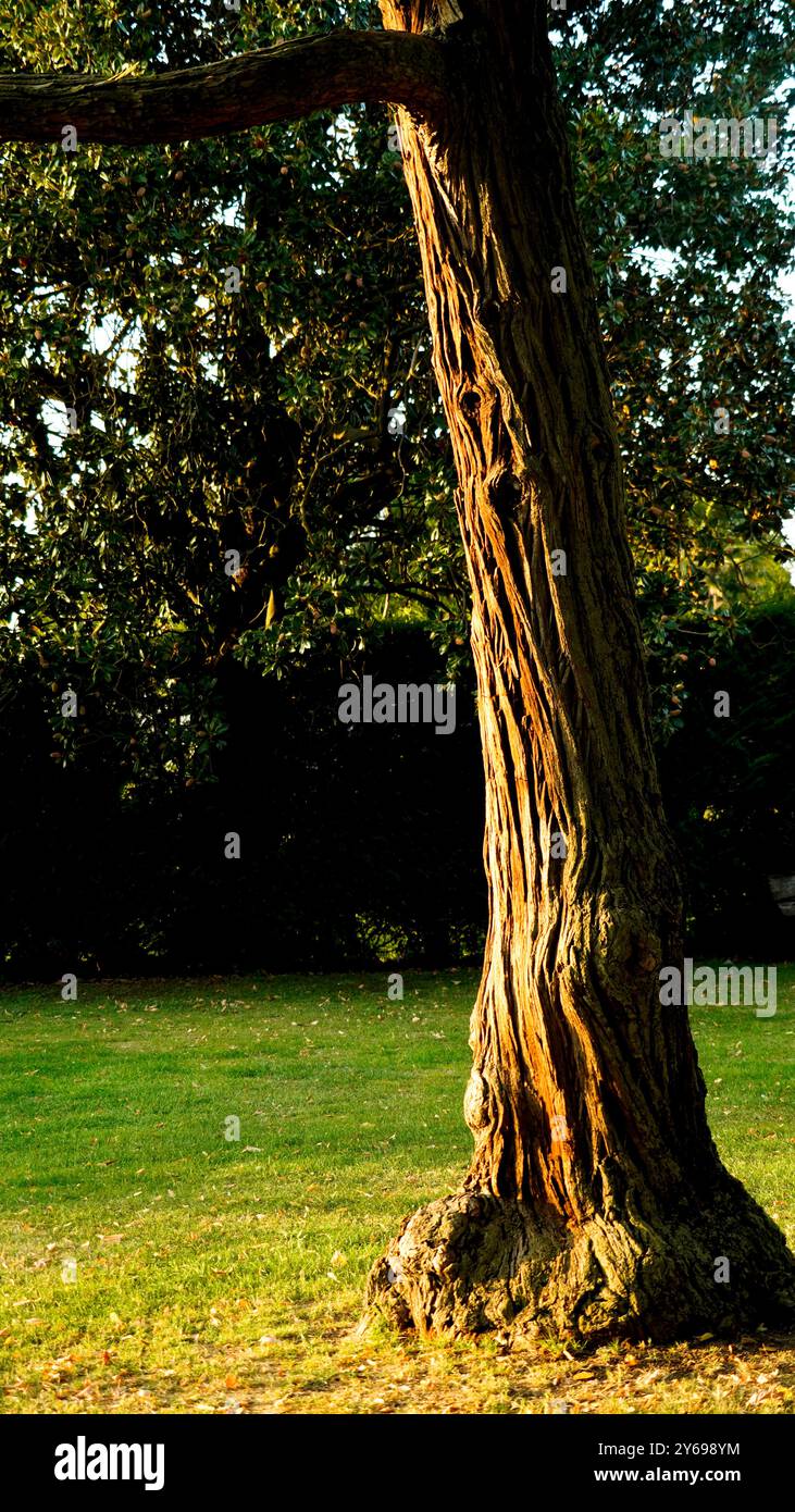 Abbey of Santa Maria delle Carceri - Museum of Rural Civilization ...