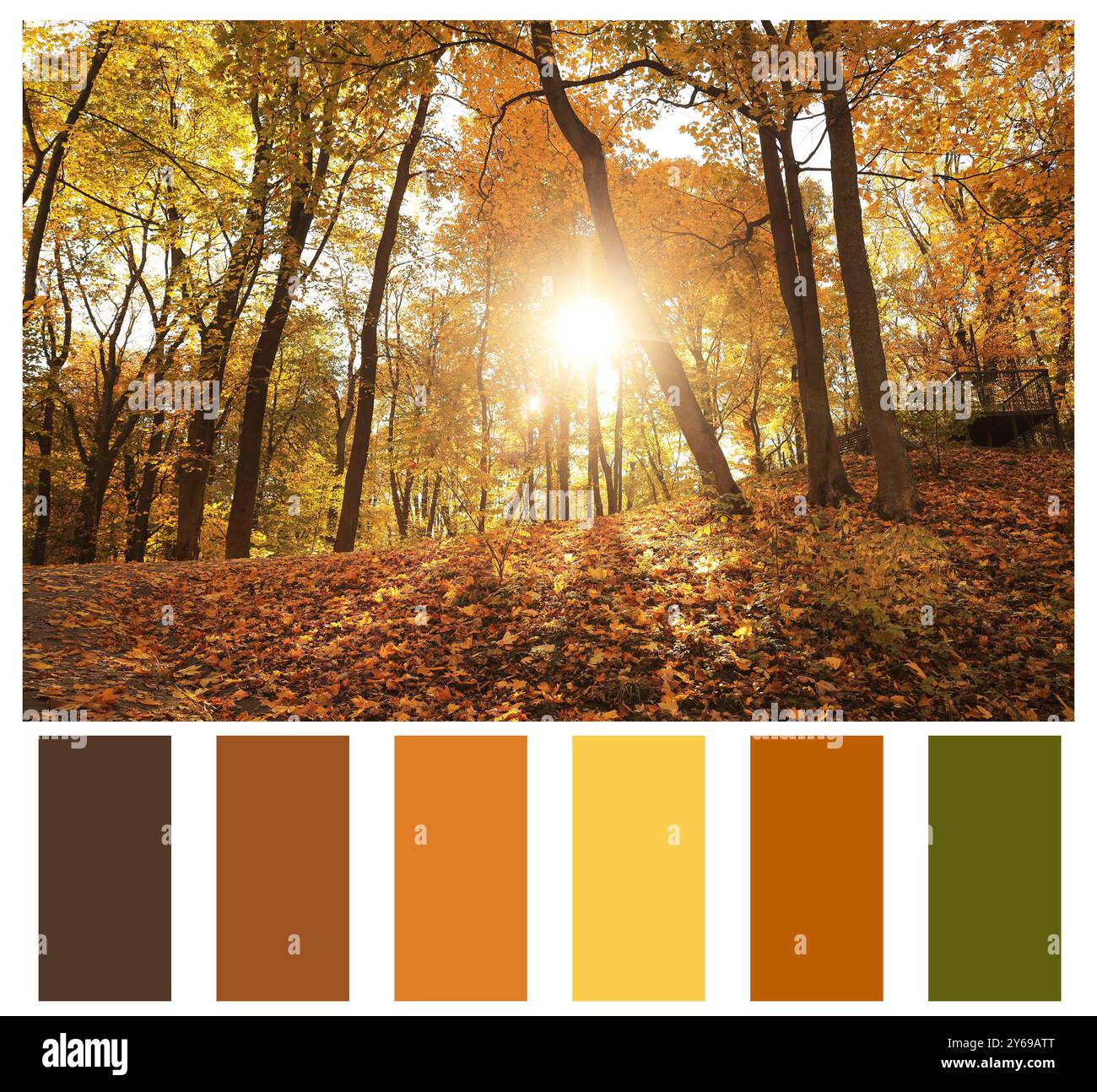 Shades of fall. Beautiful autumn landscape and matching color palette ...