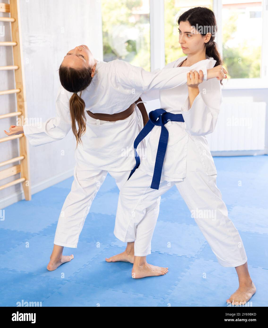 Two women training judo techniques in studio Stock Photo - Alamy