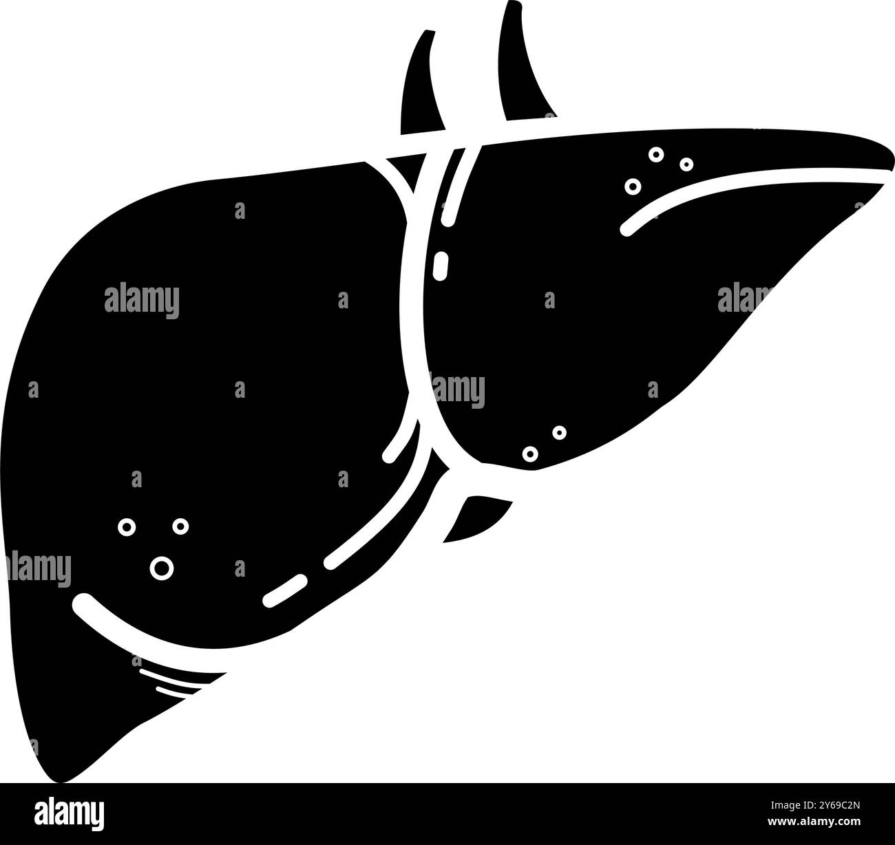 human liver - vector icon Stock Vector Image & Art - Alamy