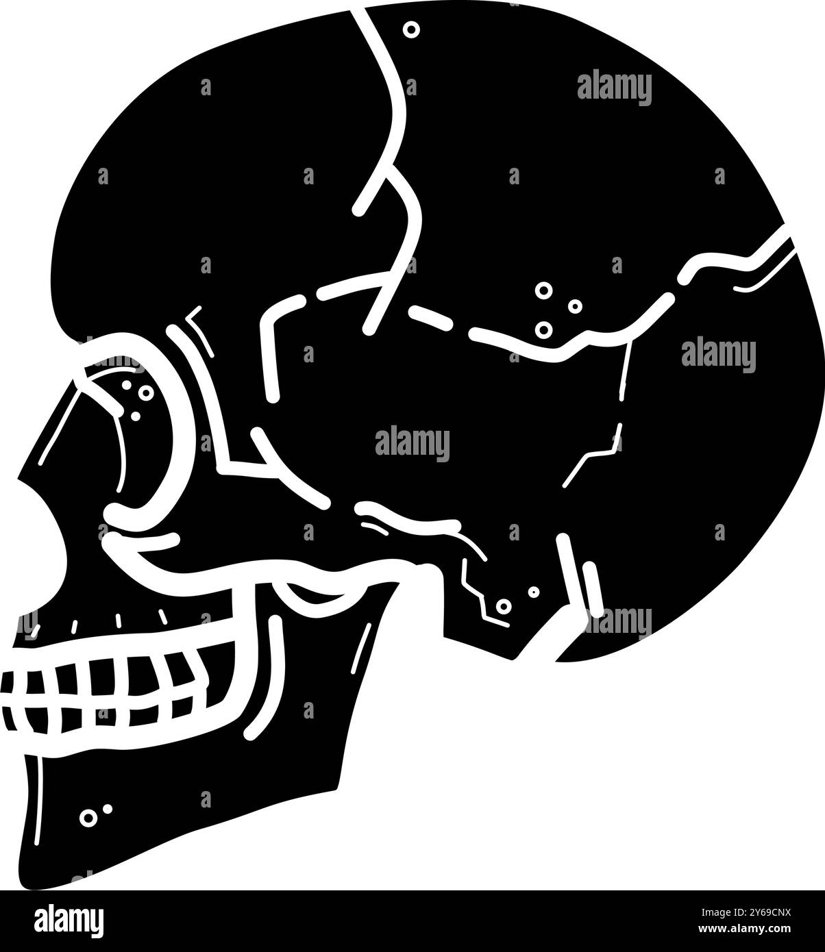 human skull, side view - vector icon Stock Vector Image & Art - Alamy