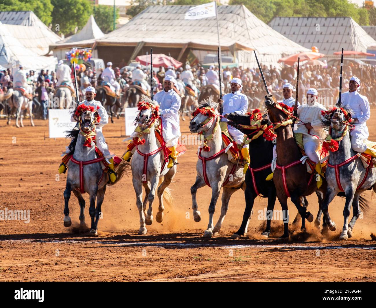 galloping horses, traditional festival, -Fantasia, - Tbourida -, Fez ...
