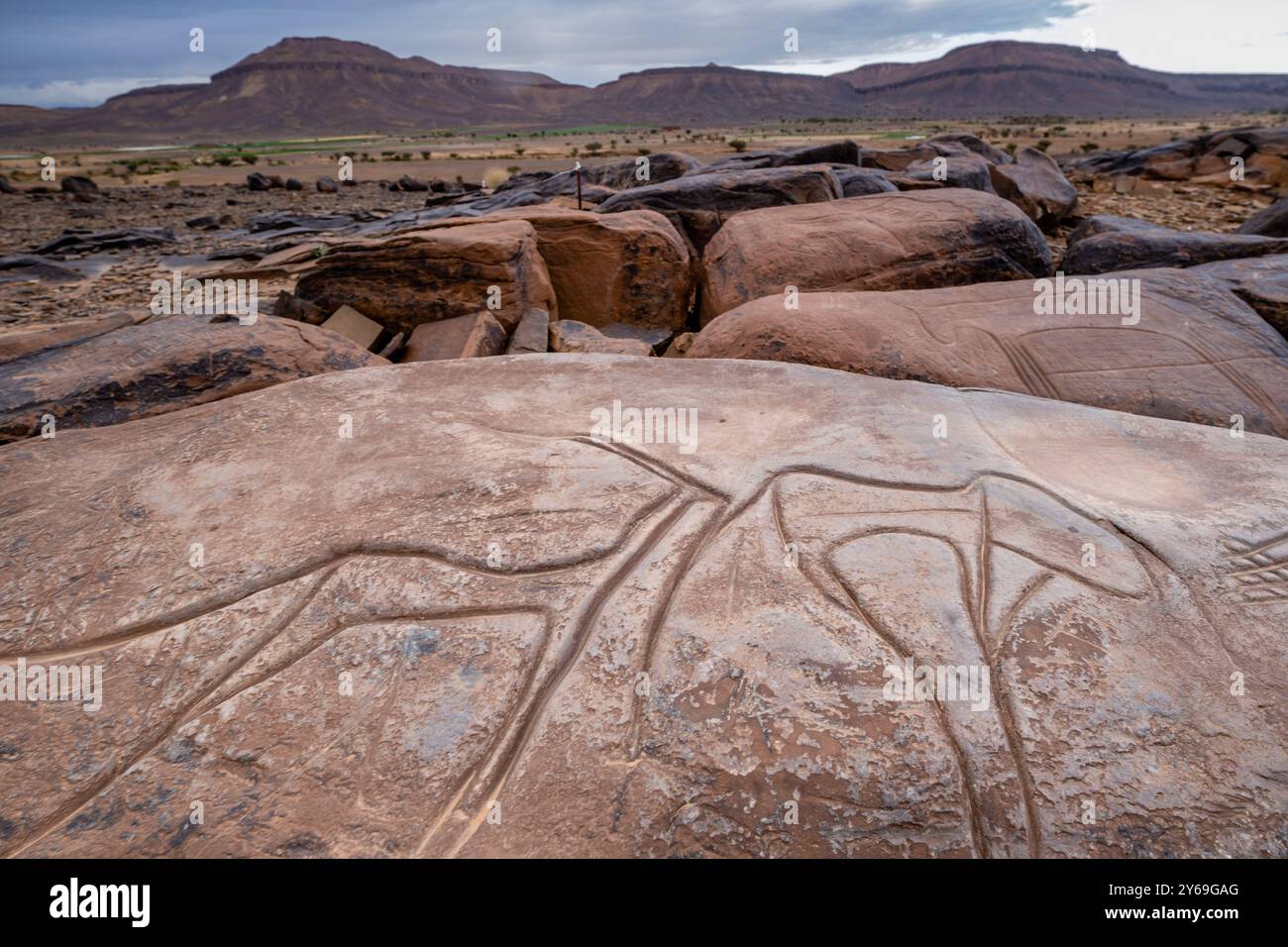 petroglyph, prehistoric ungulate, Aït Ouazik rock deposit, late ...