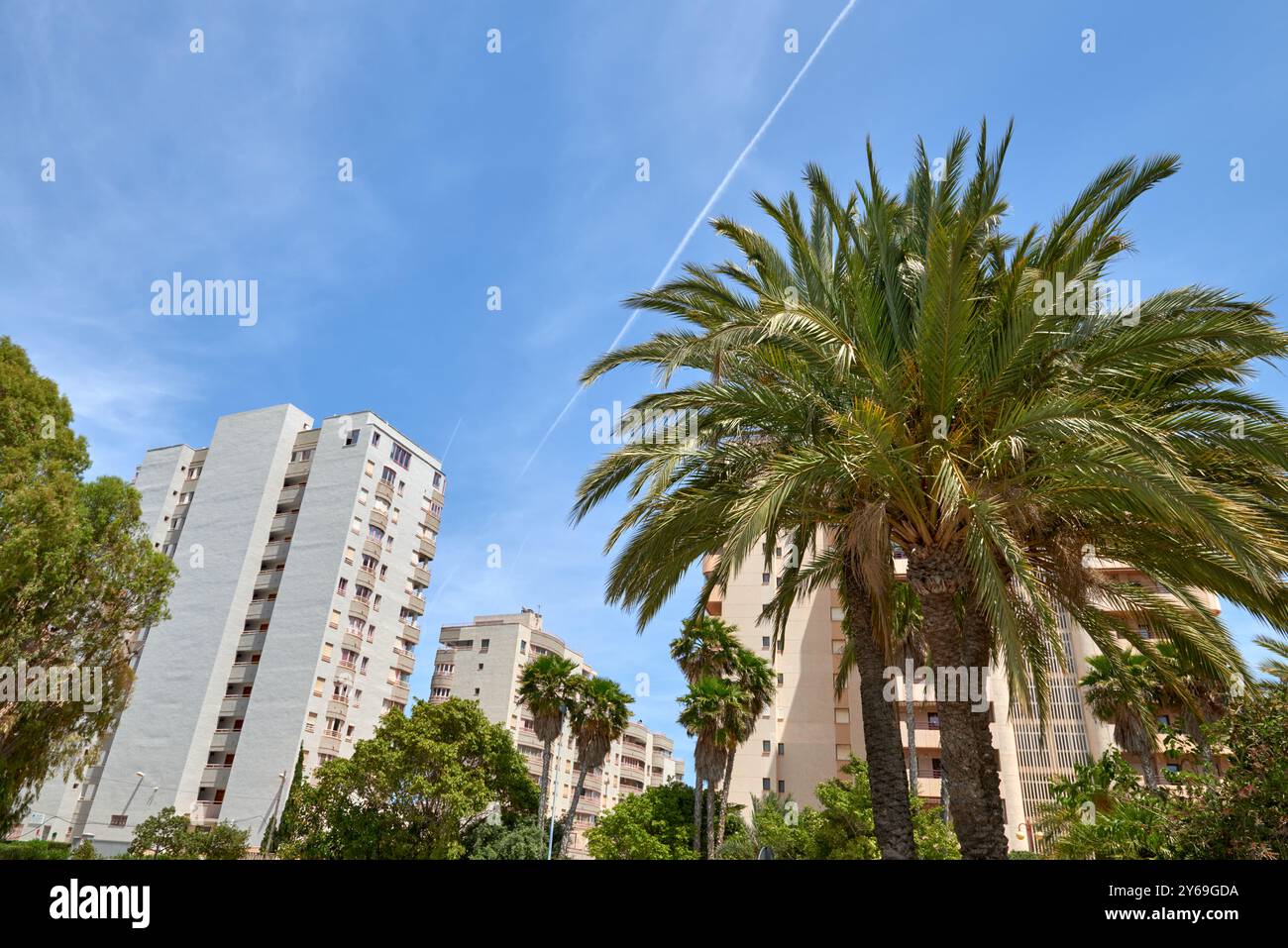 Spectacular Spanish Skyline: Towering High-Rises and Swaying Palm Trees ...