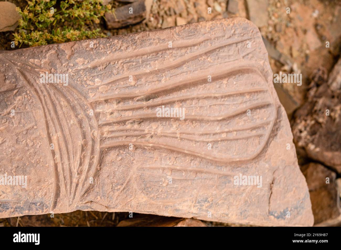 Neolithic pictorial manifestations hi-res stock photography and images - Alamy