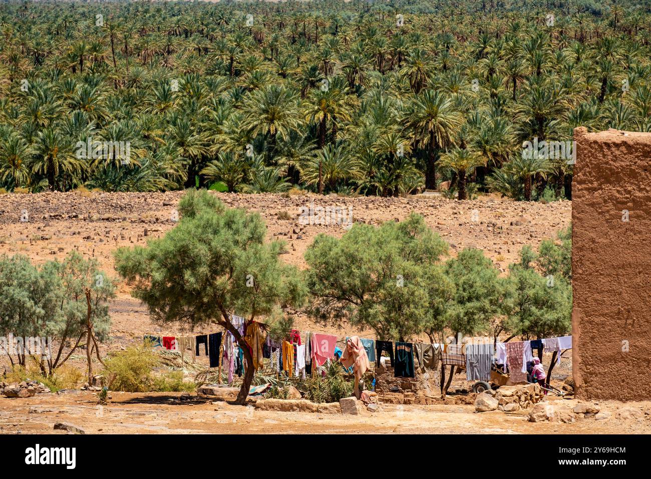 ksar of Tamegroute, Draa valley, Morocco, Africa Stock Photo - Alamy