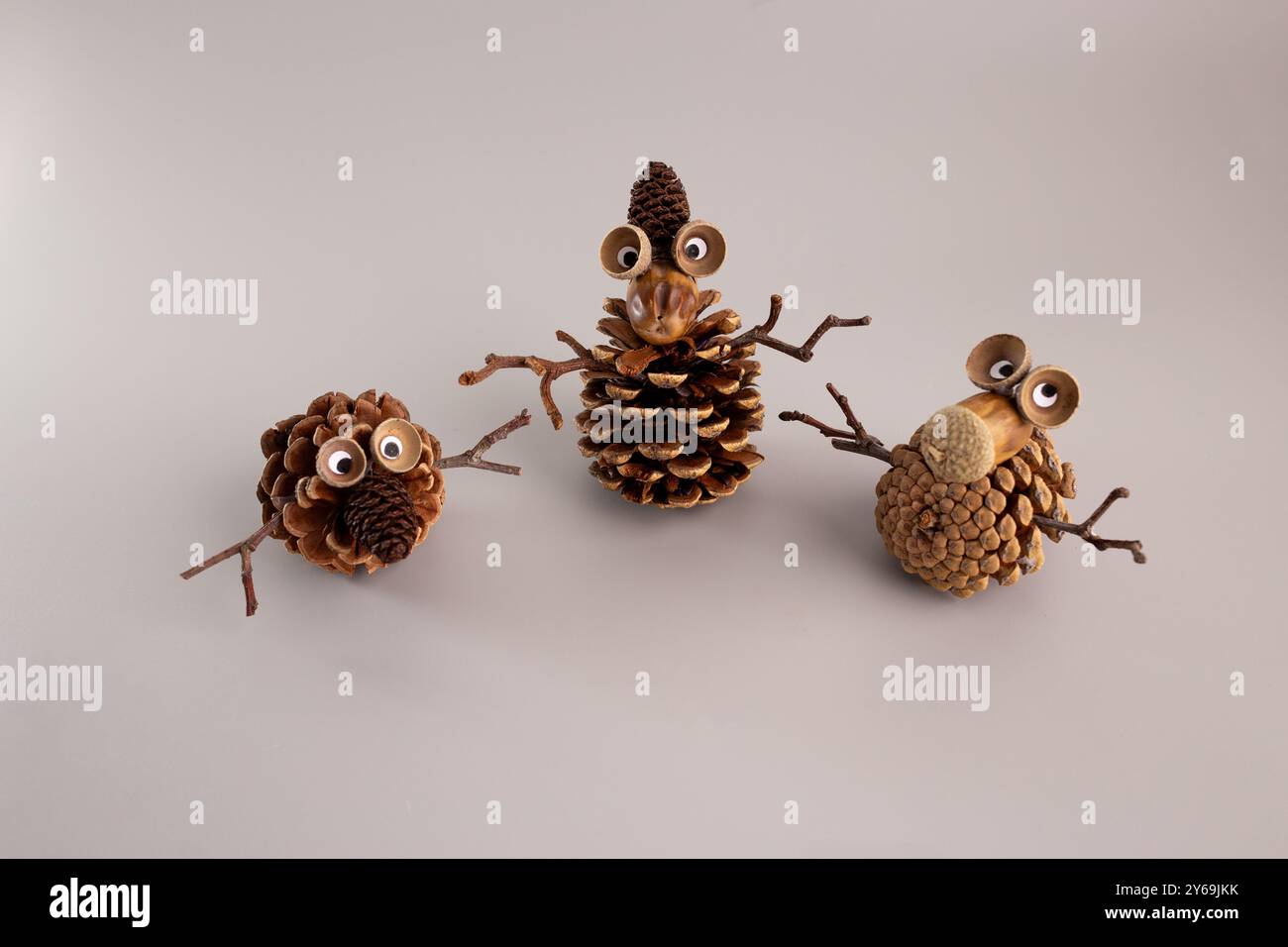 autumn nature craft for kids, creatures made of pine cones, top view ...