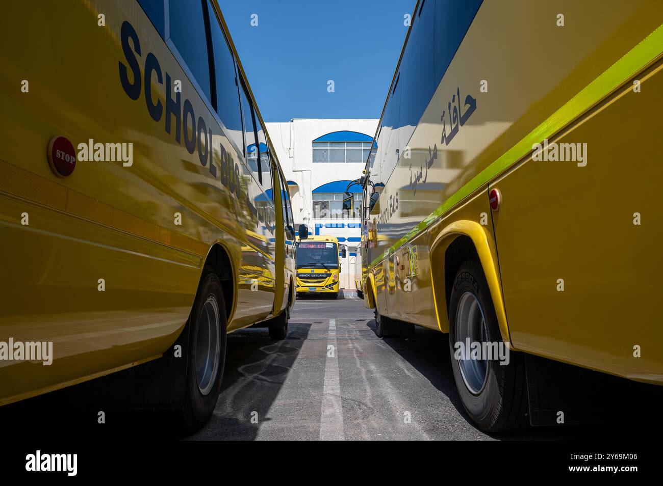 Several yellow school buses are lined up outside the school, ready to ...