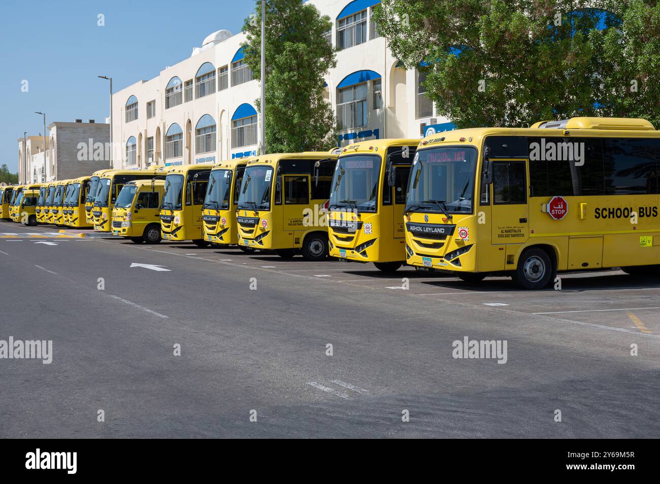 Several yellow school buses are lined up outside the school, ready to ...