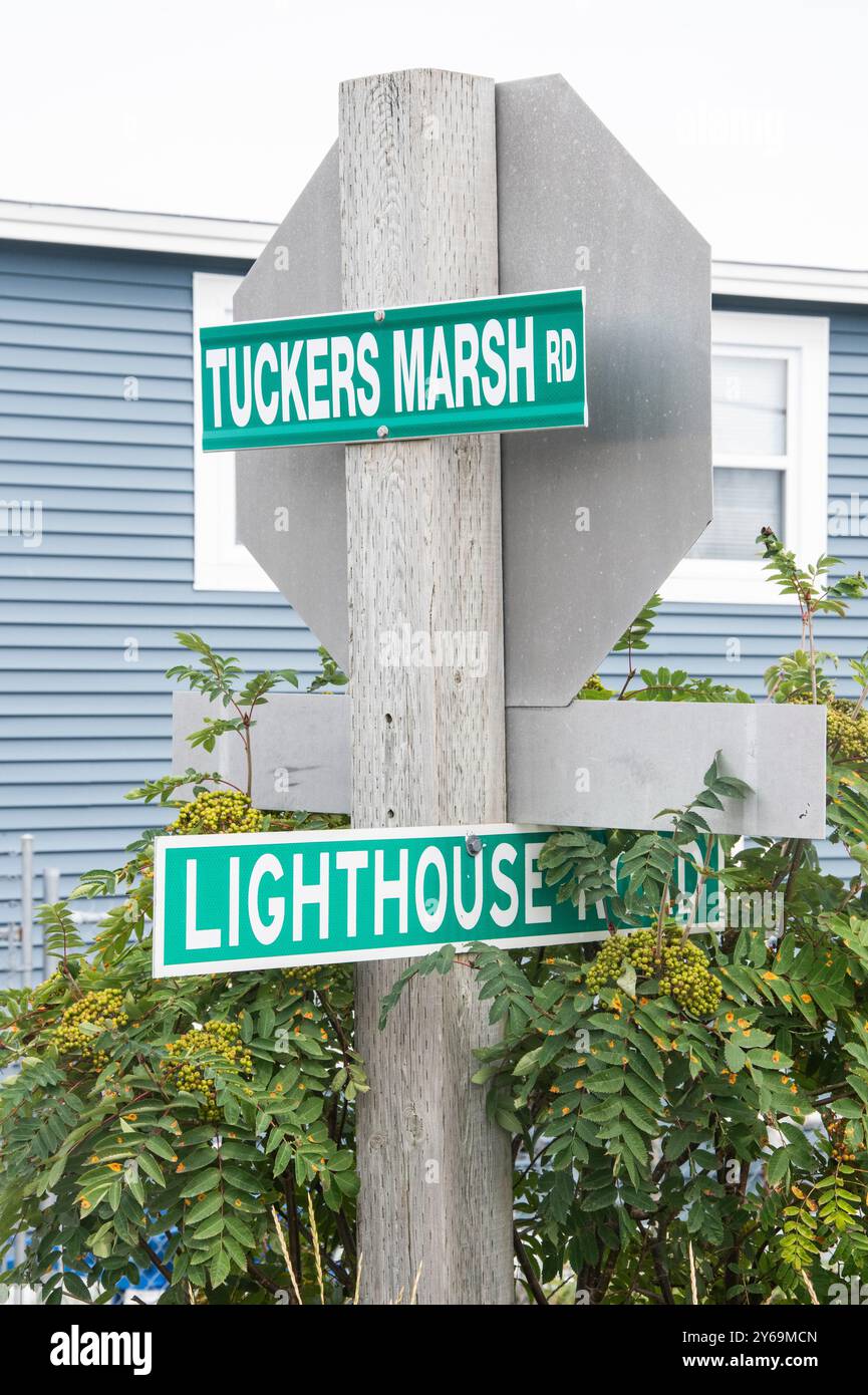 Tuckers Marsh Road and Lighthouse Road signs at Port de Grave ...