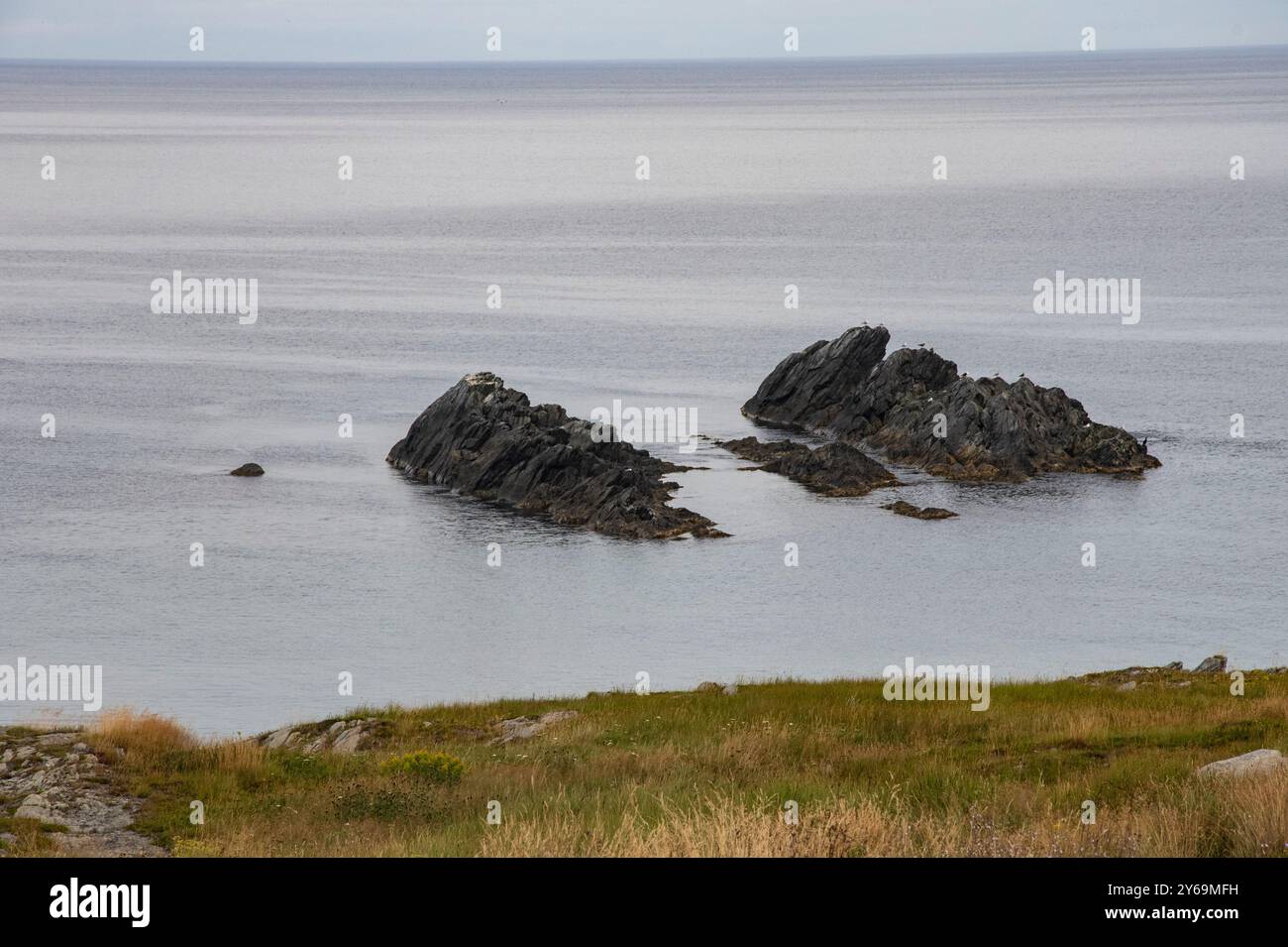 Southern Rocks at Green Point Lighthouse in Port de Grave, Newfoundland ...