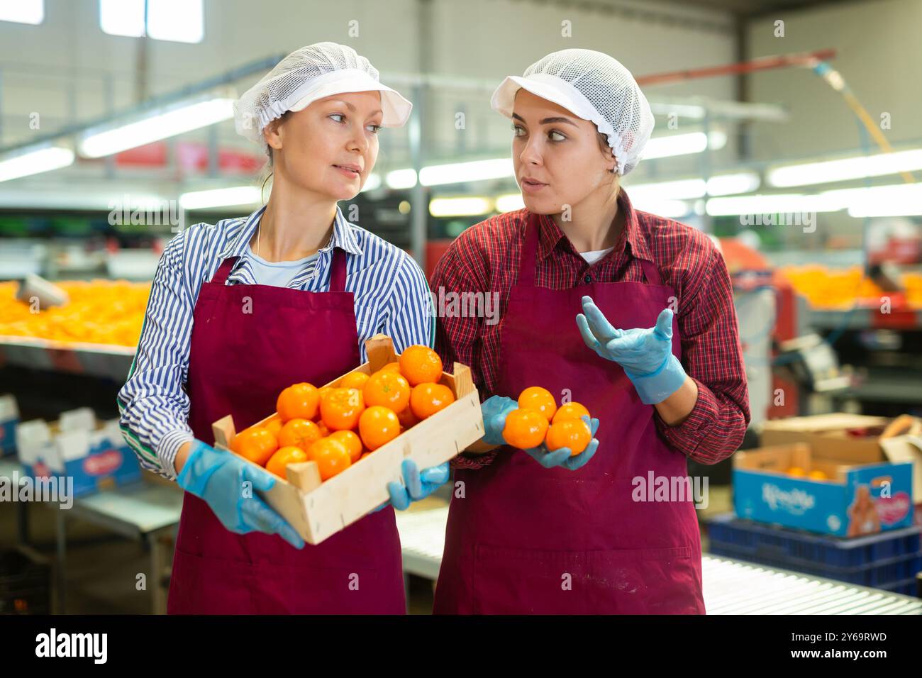 Two glad positive female employees hold a box of fresh ripe tangerines ...