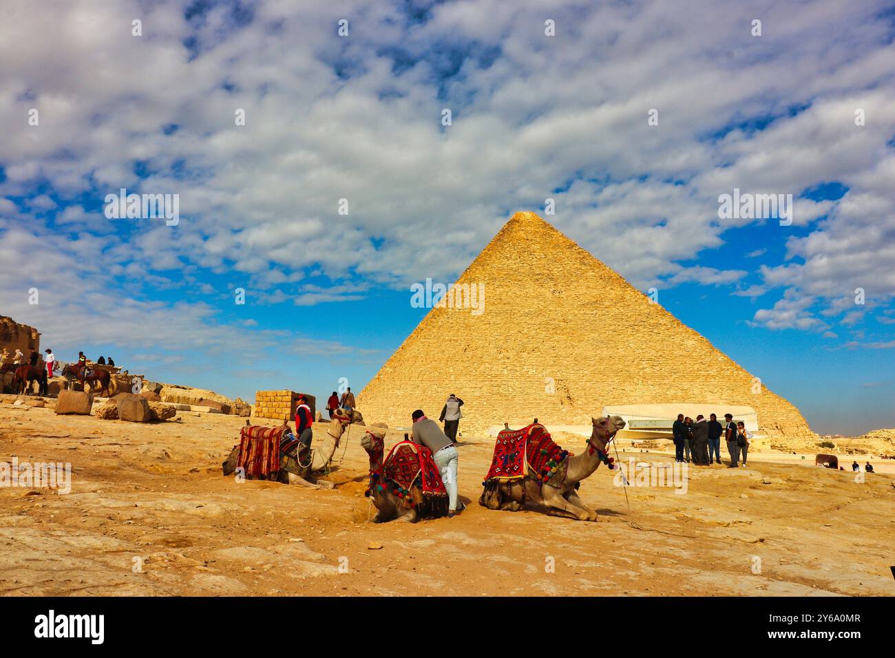 Great Pyramid of Khufu on a bright day with camels ready for tourist rides on the giza plateau ...