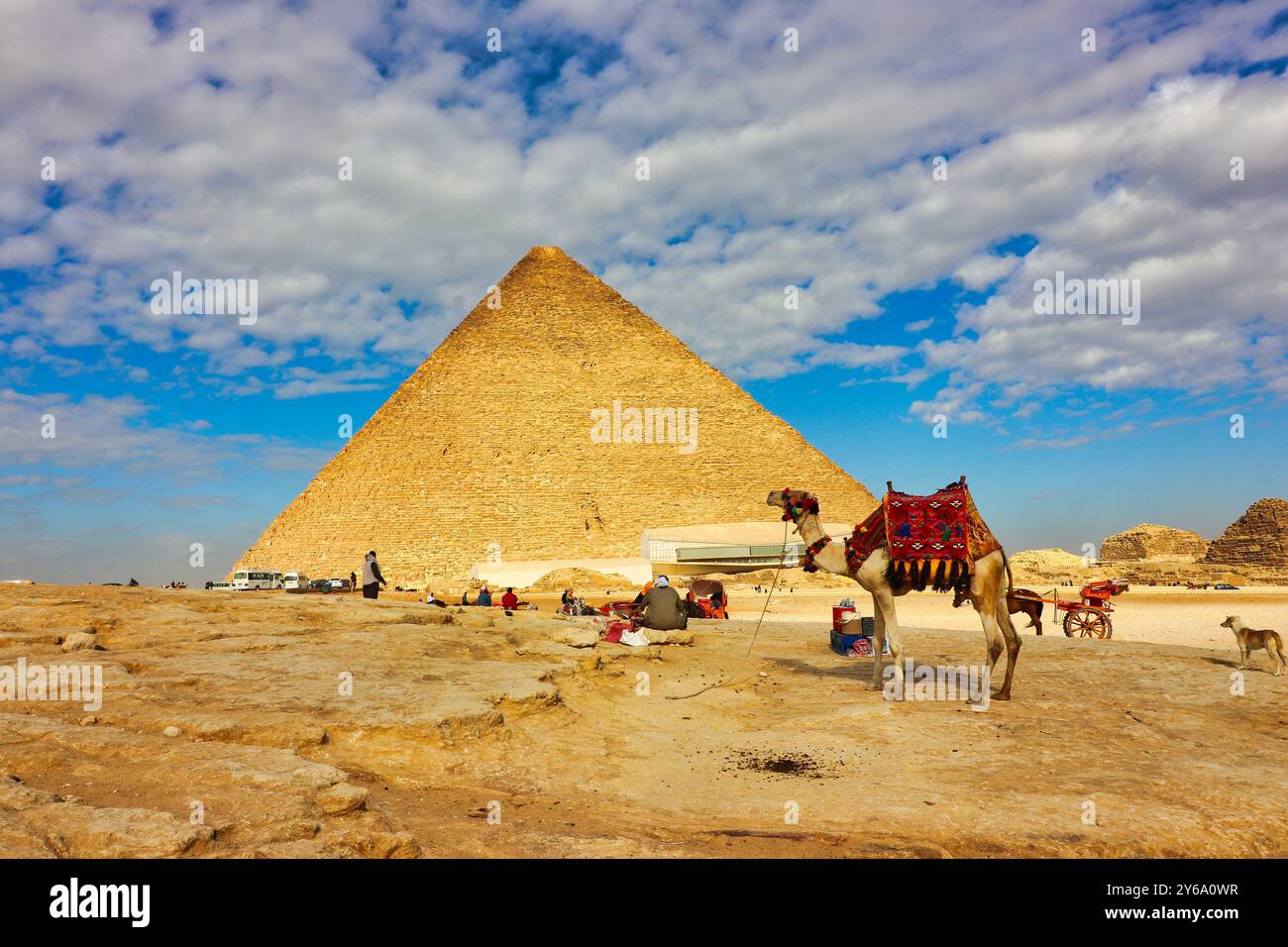 A Fully Bedecked Camel awaits tourists in front of the Great Pyramid of ...