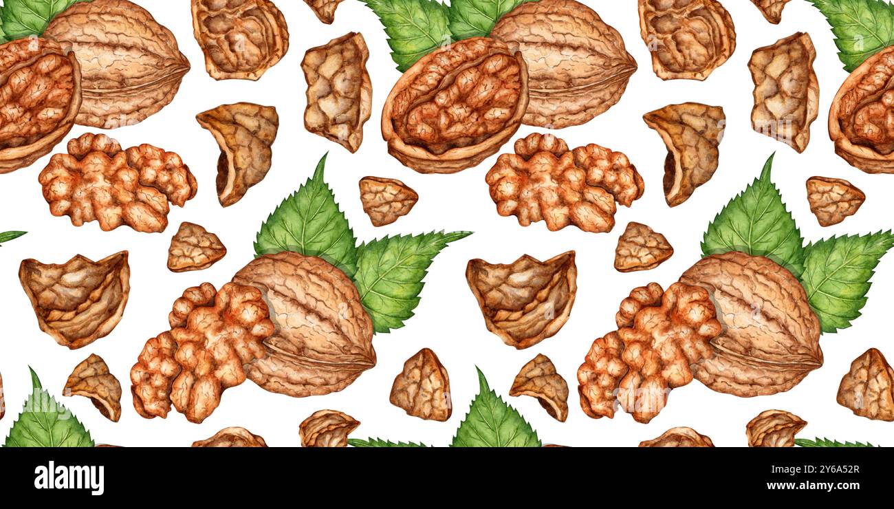 Walnut, whole and chopped with nuts pattern isolated from background ...