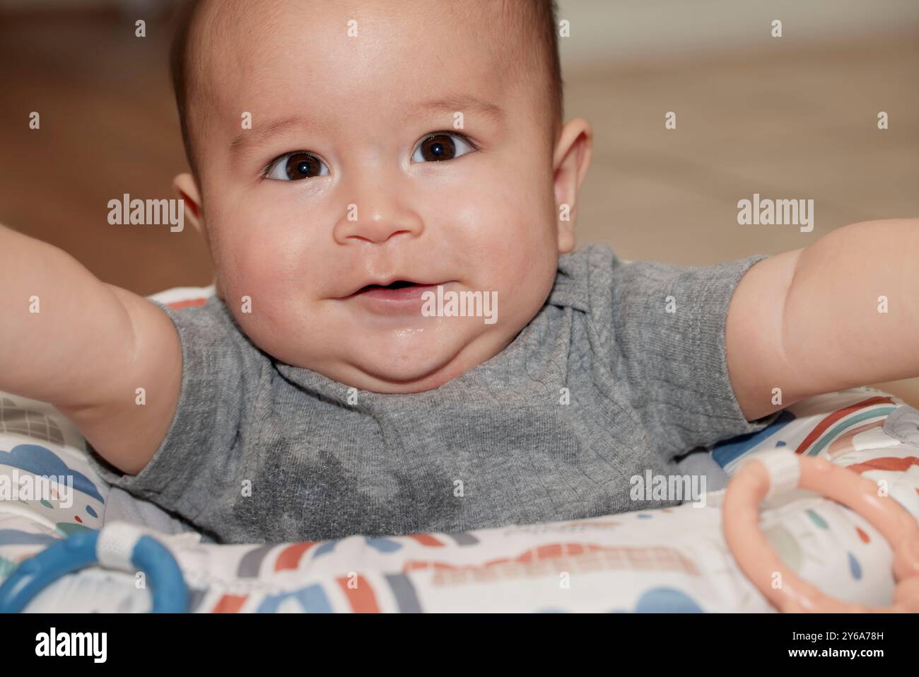 A cute 6 month old baby boy sitting in a chair Stock Photo - Alamy