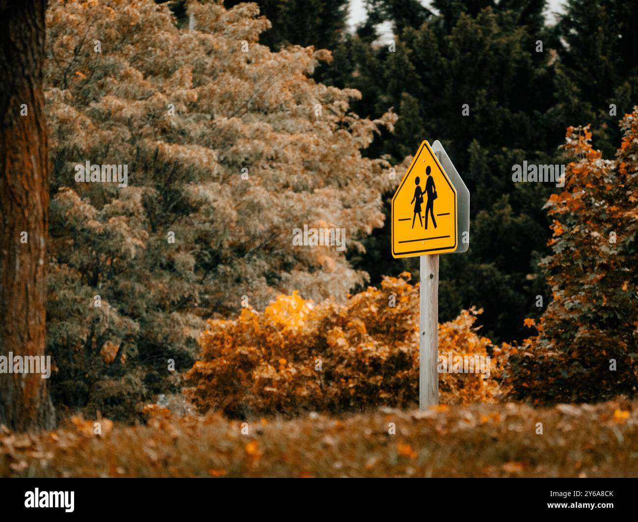 Forest school sign hi-res stock photography and images - Alamy
