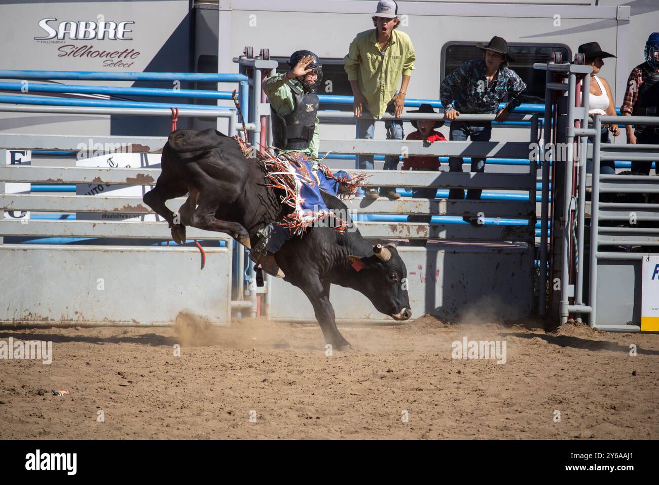 bull riding at a local rodeo Stock Photo - Alamy