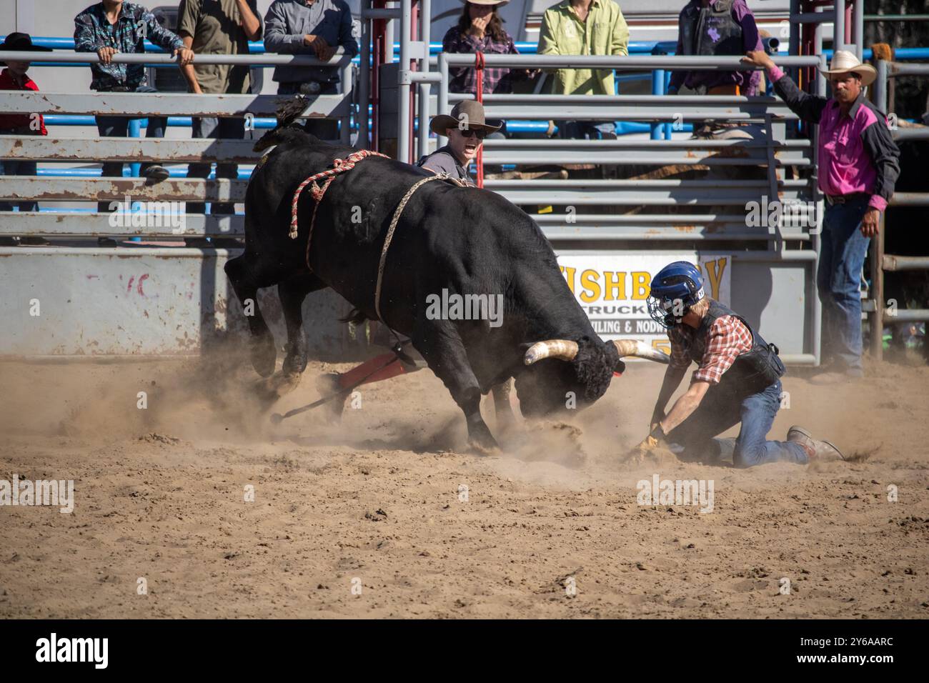Rodeo clown hi-res stock photography and images - Alamy