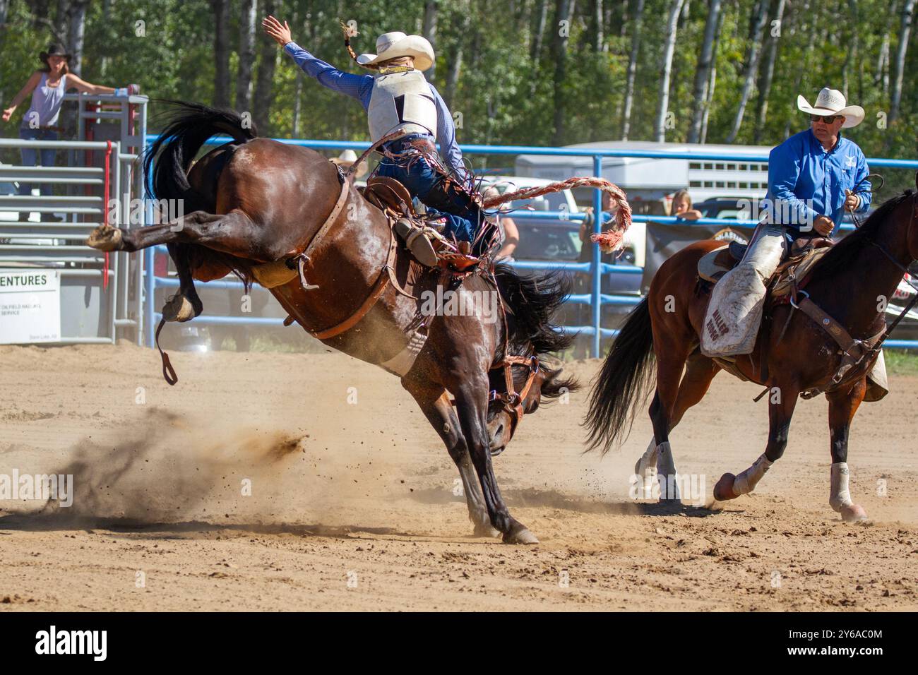 Bareback bronc riding hi-res stock photography and images - Alamy