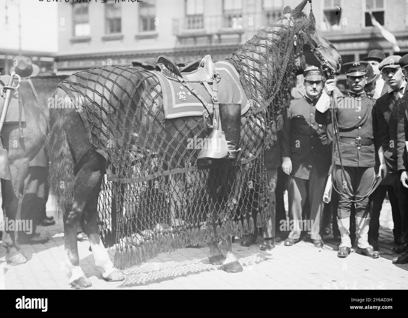 Gen. Grant's horse, Photo shows riderless horse at funeral procession ...