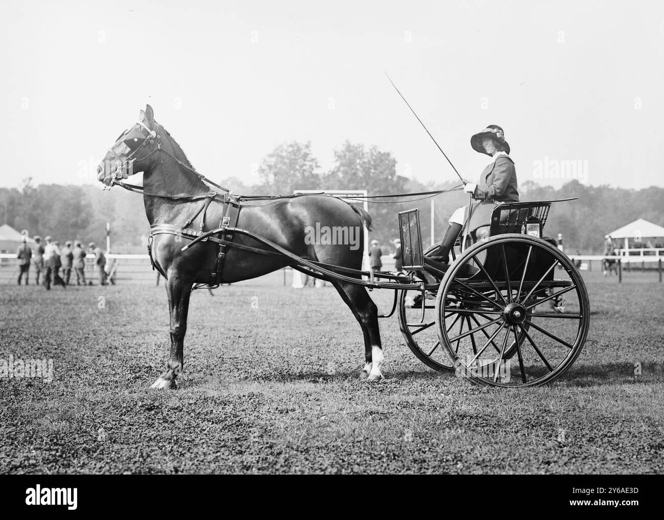 Alix Dolan & 'Pride of Jersey', Photo shows a harness horse at the ...