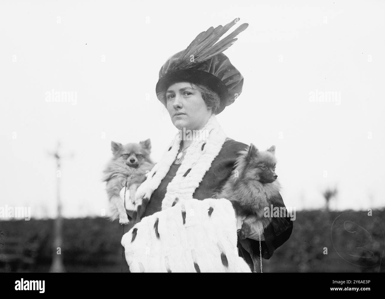 Tuxedo marvel hi-res stock photography and images - Alamy