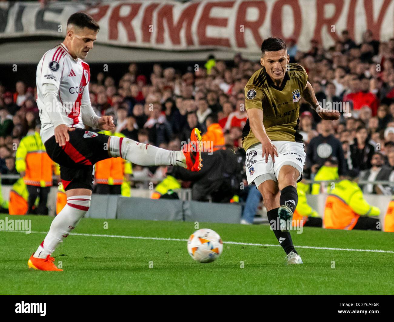 Colo colo 2024 hi-res stock photography and images - Alamy