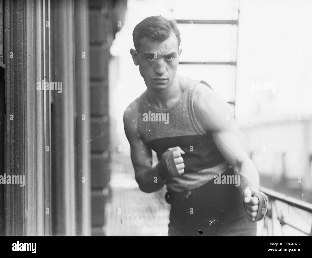 Boxer leach cross hi-res stock photography and images - Alamy