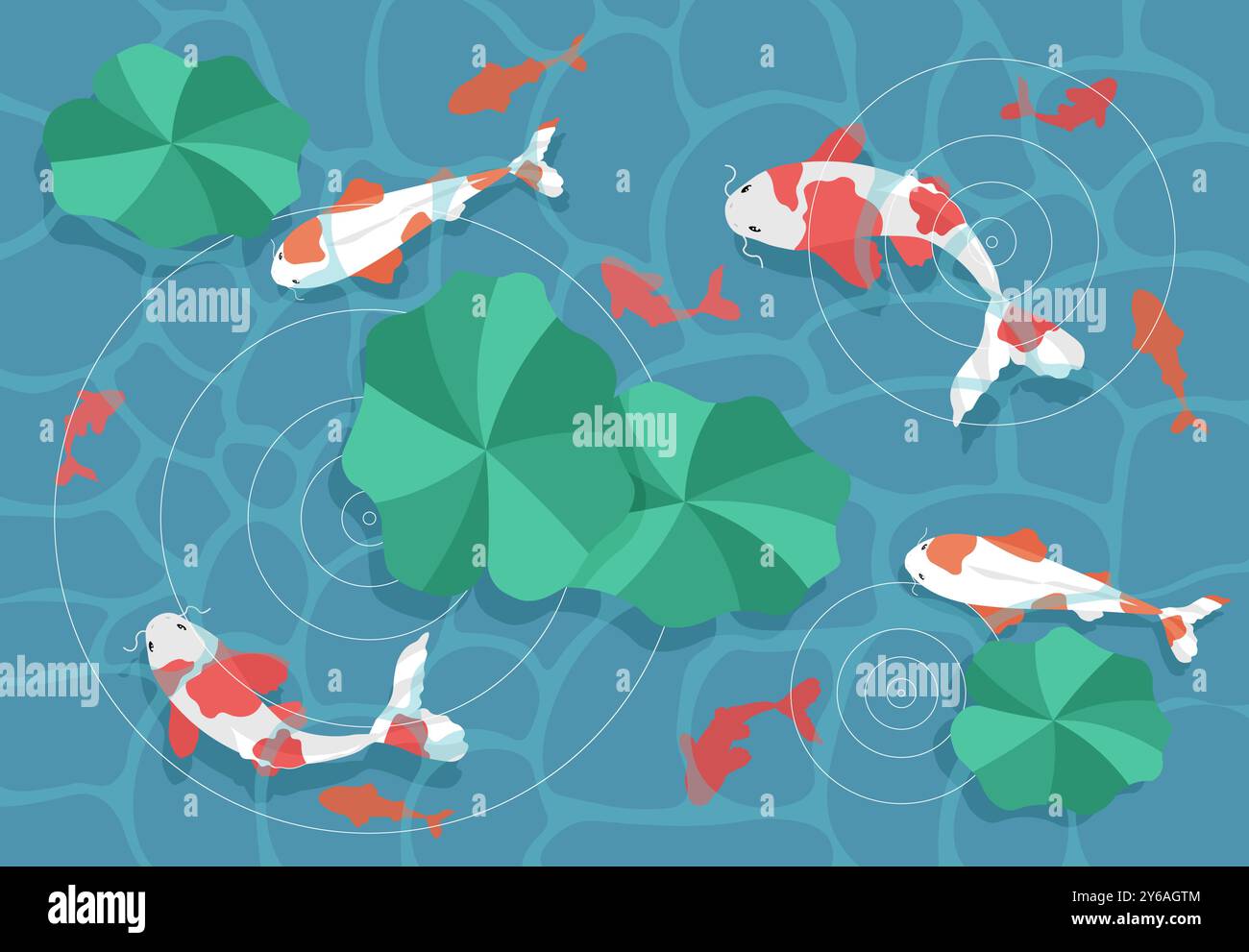 Koi fish in lake. Traditional asian fishes in water with lillies. Red ...