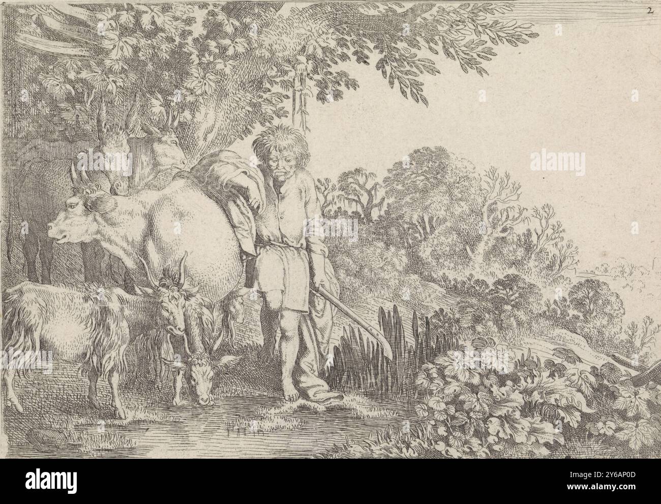 Giant argus hi-res stock photography and images - Alamy