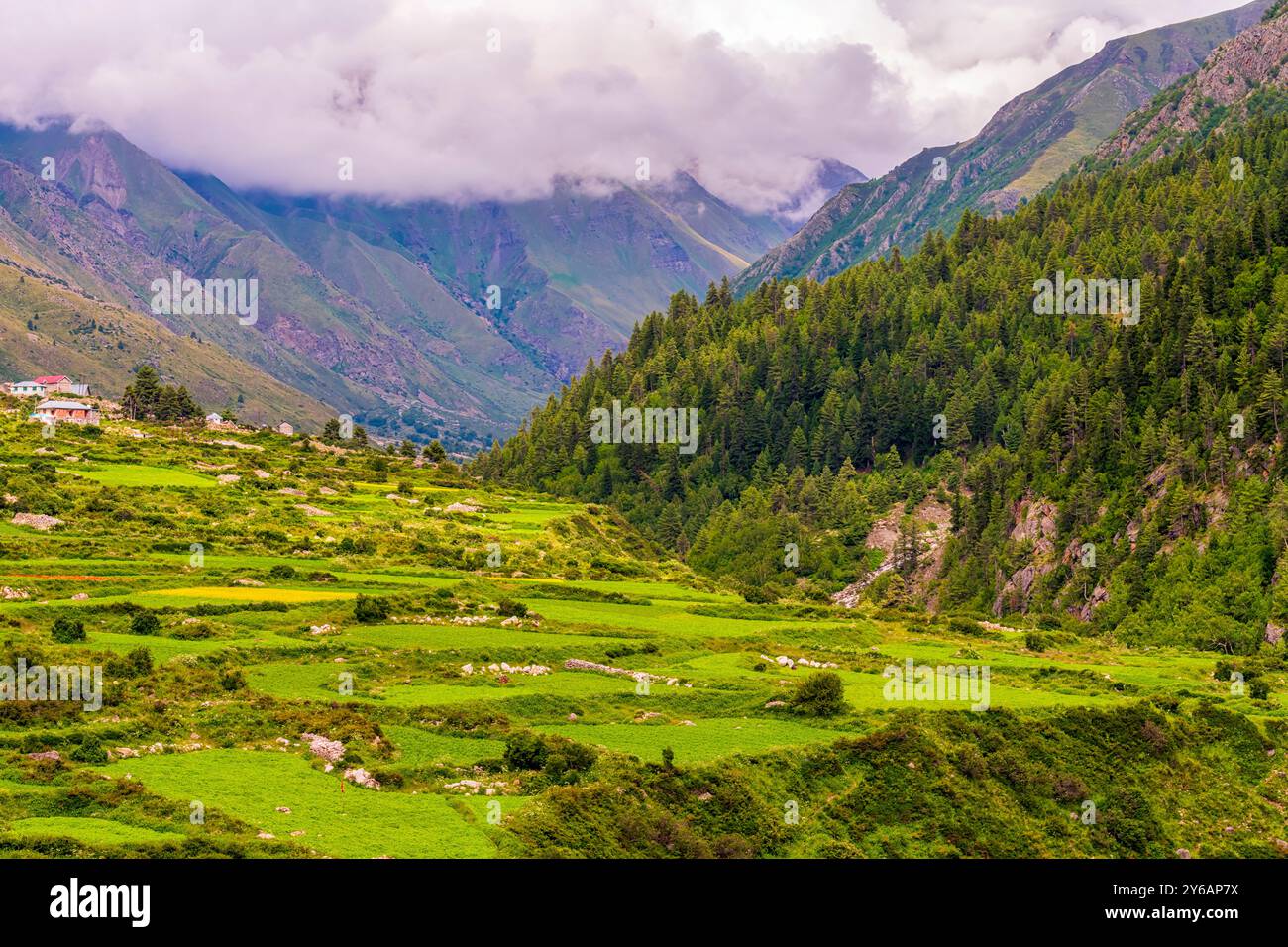 The landscape of Chitkul, Himachal Pradesh, India Stock Photo - Alamy