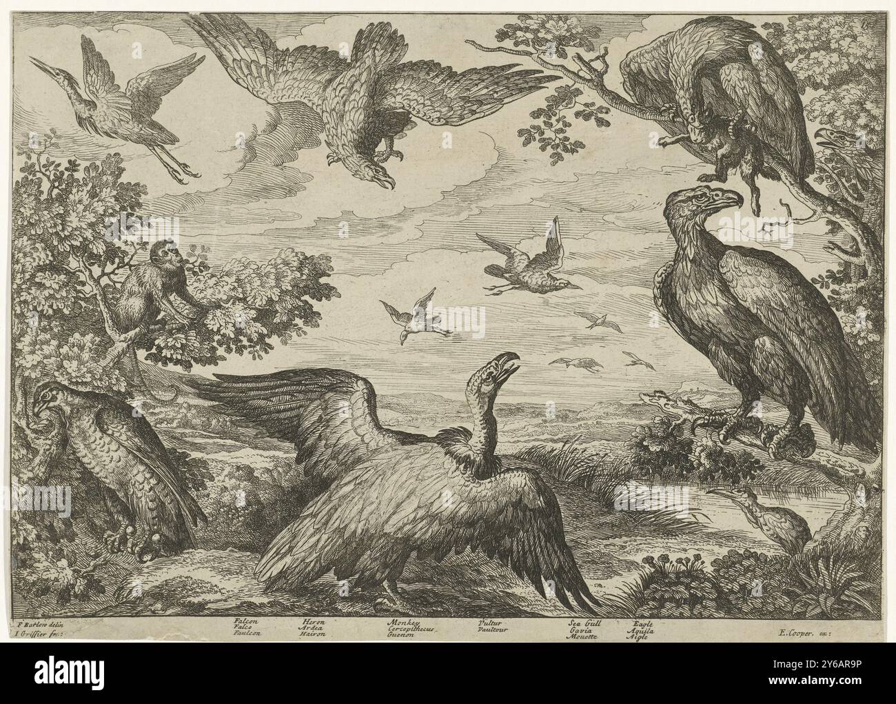 Different birds and a monkey, A landscape with different birds. In the ...