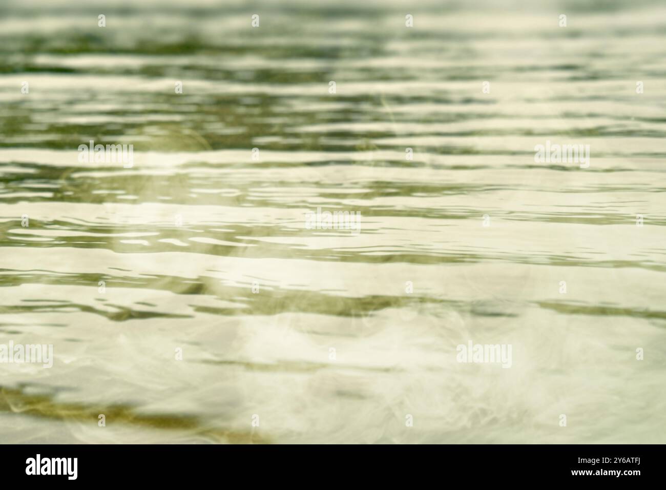 The swamp water is calm and still, with ripples forming on the surface ...