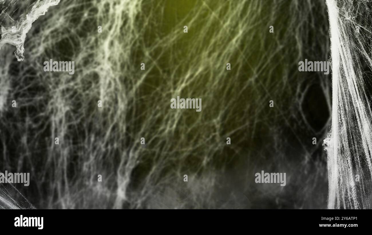Spooky creepy cobweb spider web in the dark room. The scene is somewhat ...