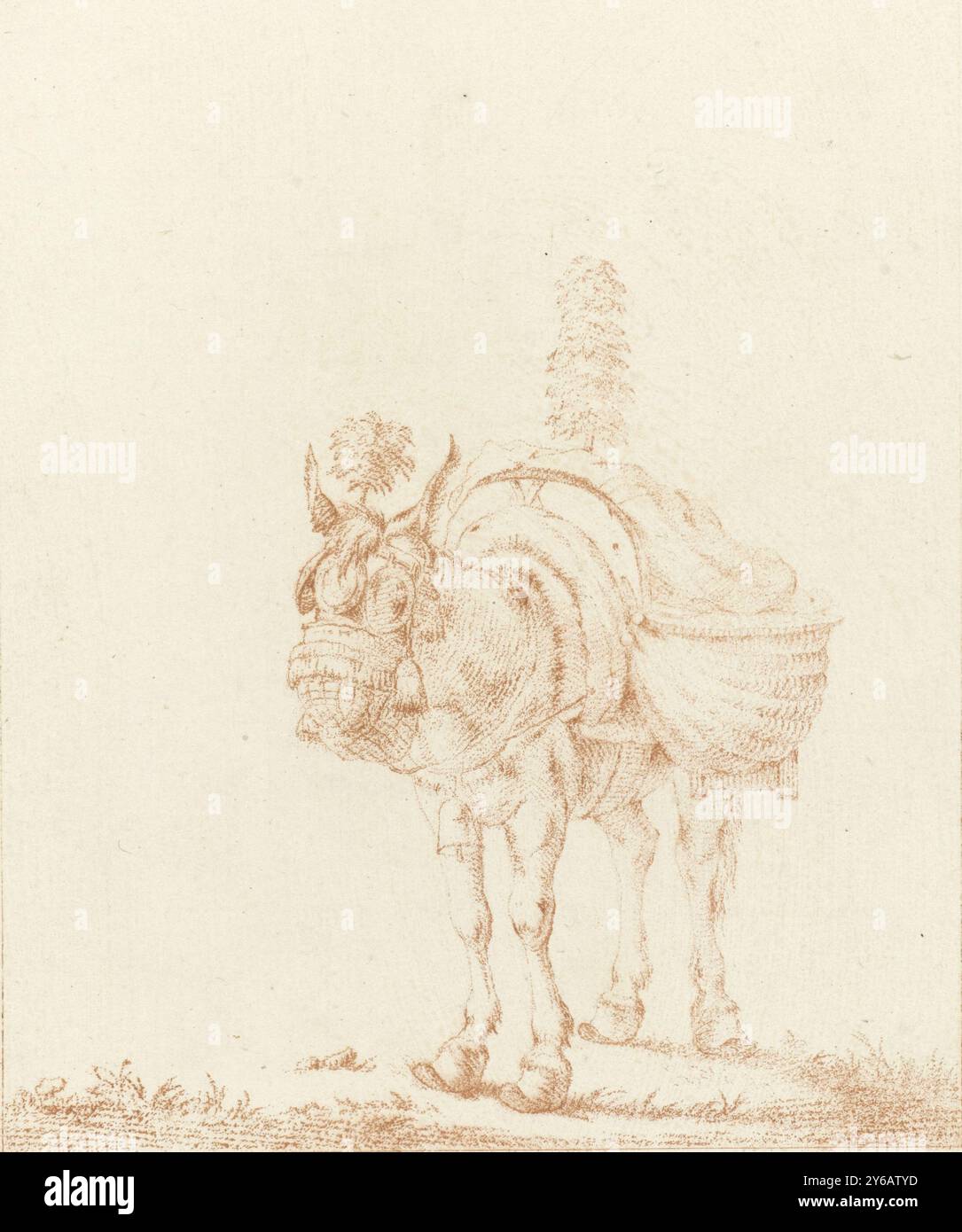 Packed mule, Packed mule with feathers on head and back., print, print ...